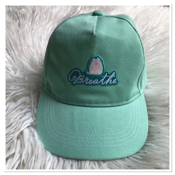 Pusheen | Accessories | Pusheen Hat Light Green Breath Pusheen Cat ...